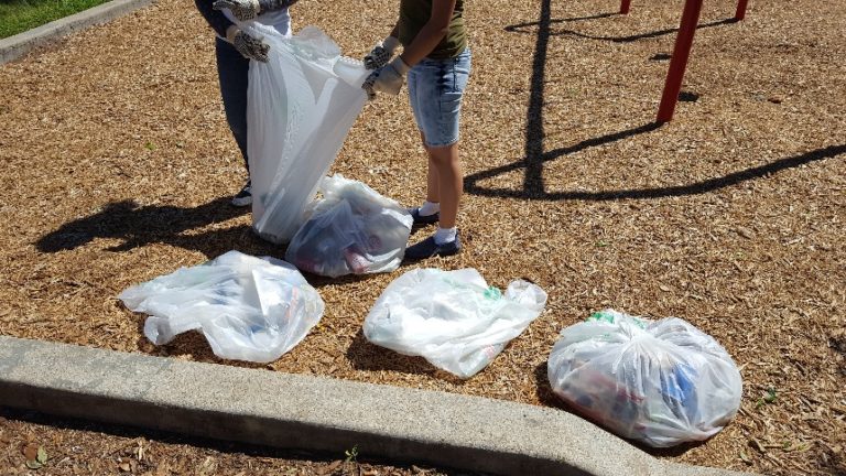 Community Park Clean up - Harris County Hospital District Foundation